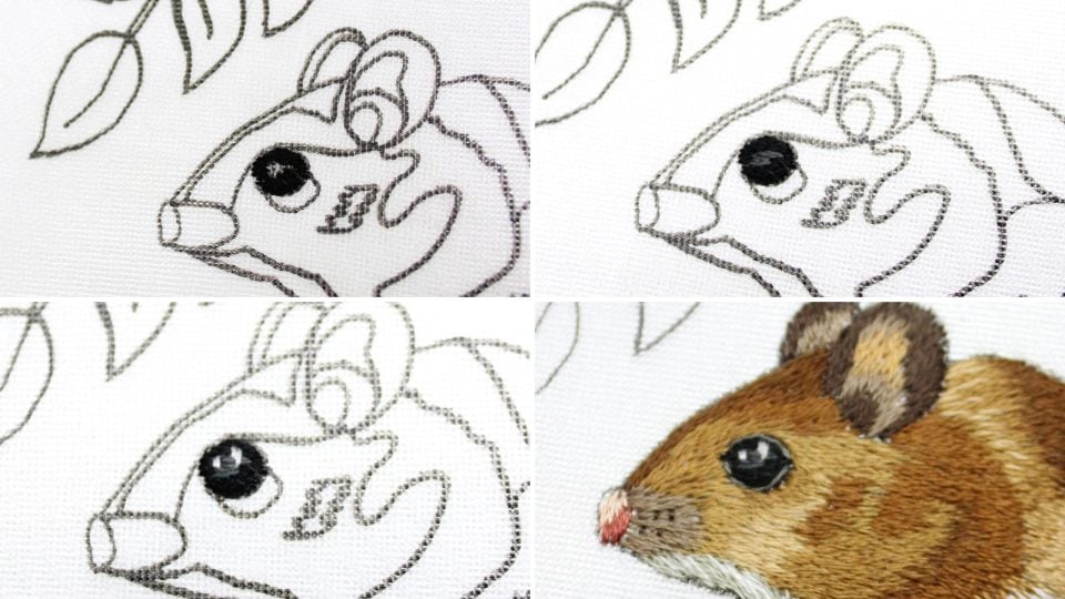 How To Embroider Realistic Eyes (For Animals And Humans)
