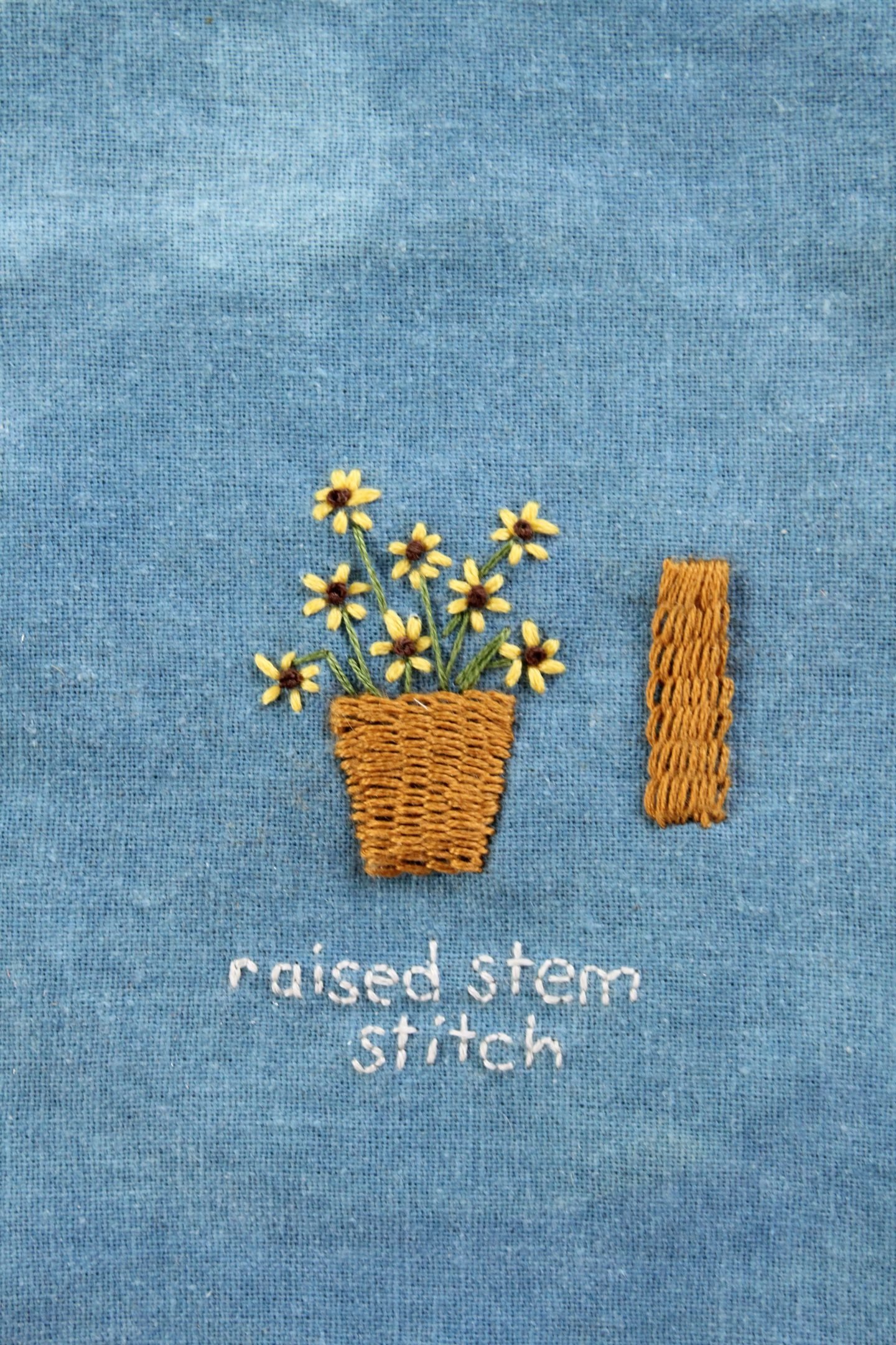 How To Do The Raised Stem Stitch