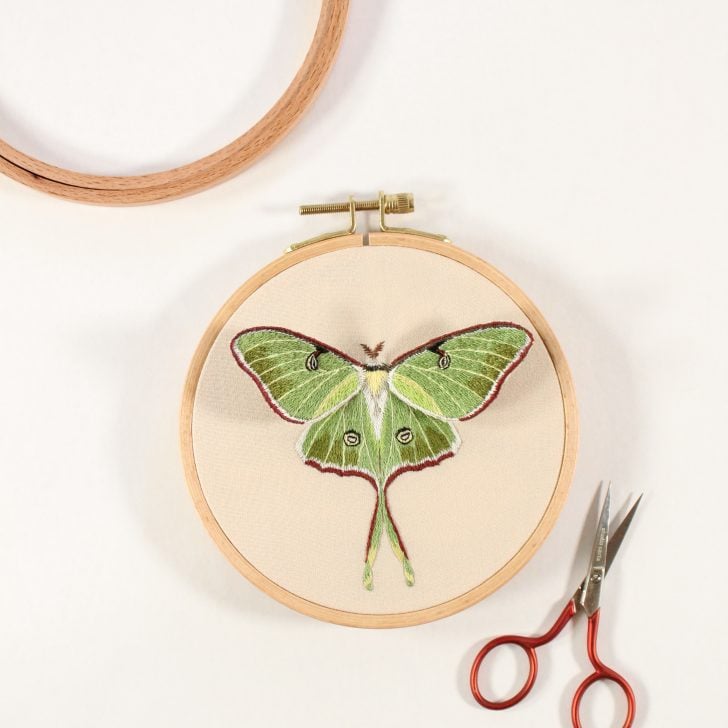18 Interesting Embroidery Insects To Stitch