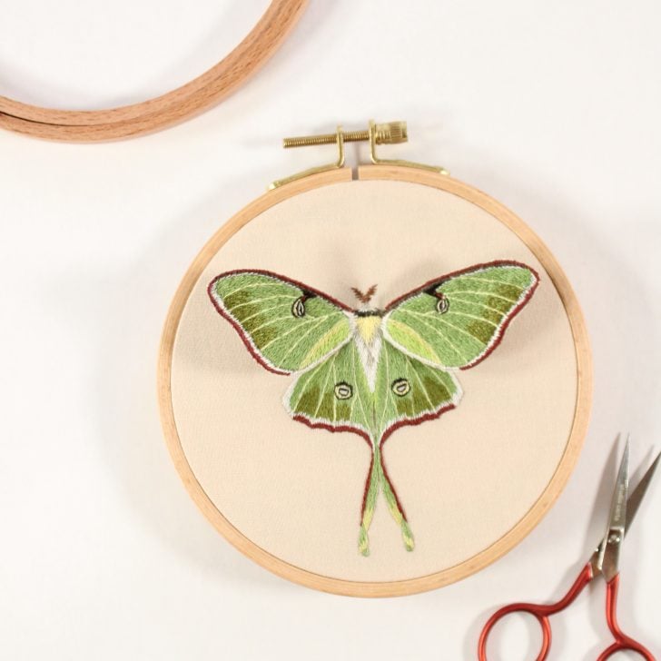 18 Interesting Embroidery Insects To Stitch - Crewel Ghoul